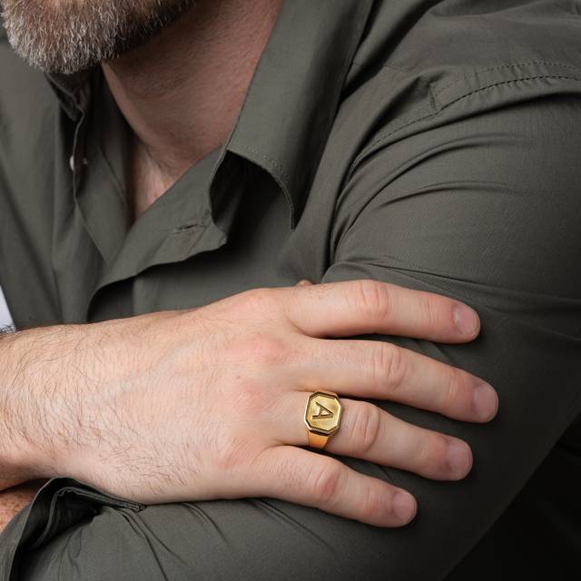 Heritage Initial Ring for Men in Gold Plating - Theo Grace